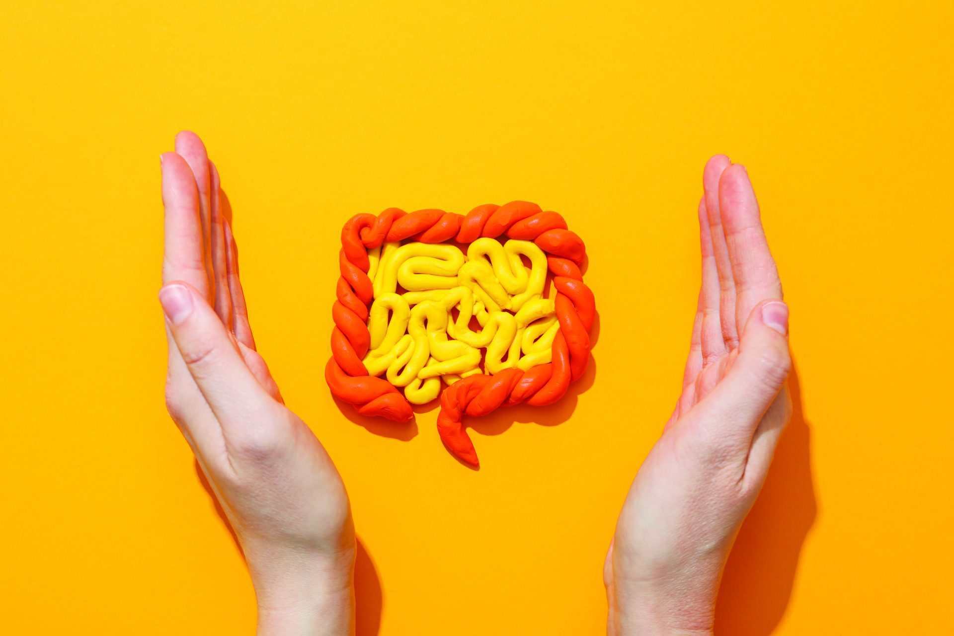 Understanding and Managing Inflammatory Bowel Disease - MyCalgary