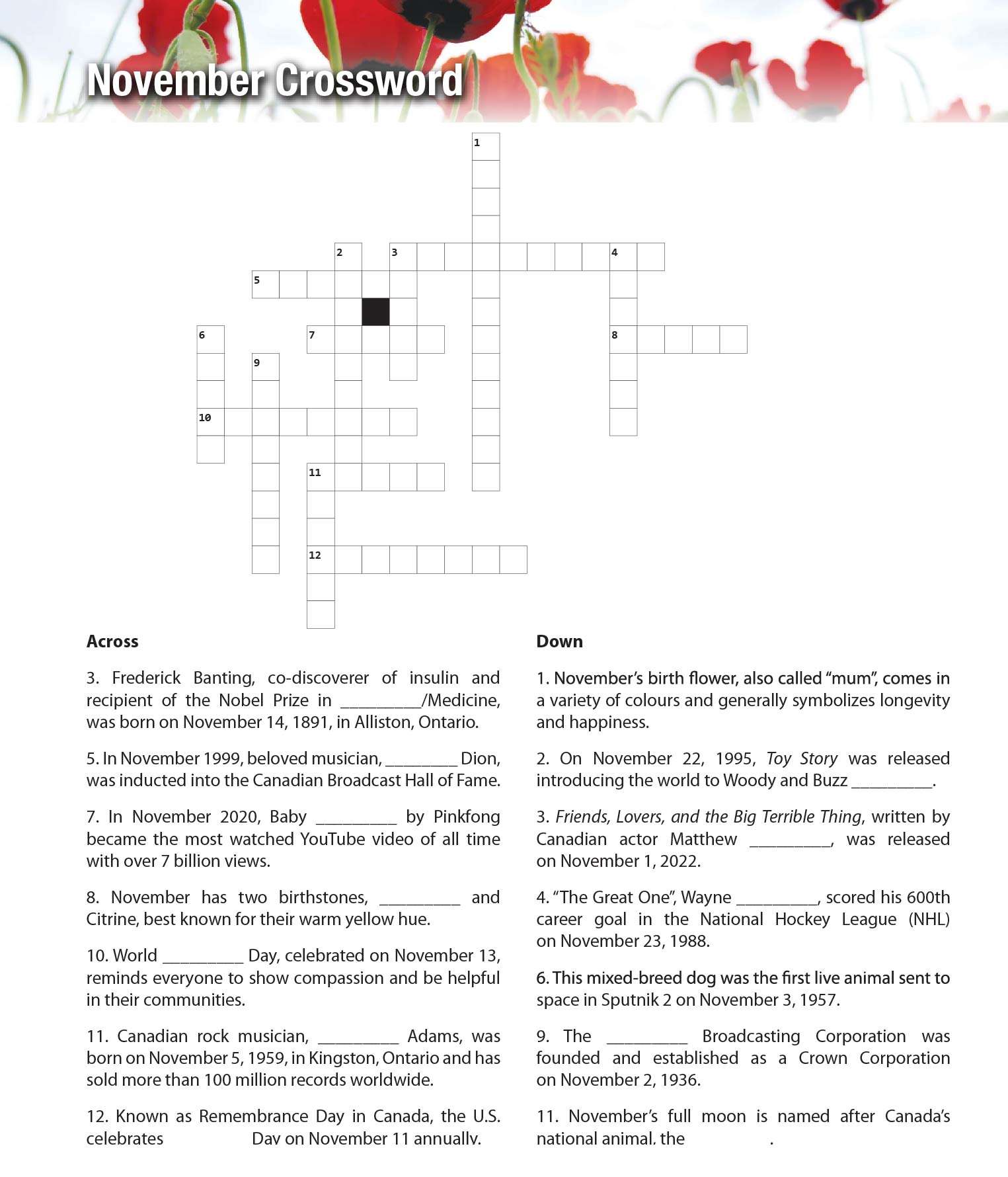 Crossword Puzzle & Answer Key – November 2024 - MyCalgary