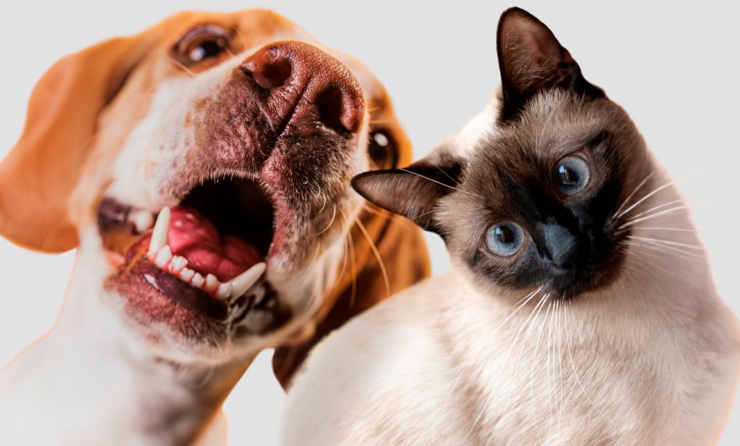 Haysboro - The City of Calgary’s Fair Entry Program - MyCalgary